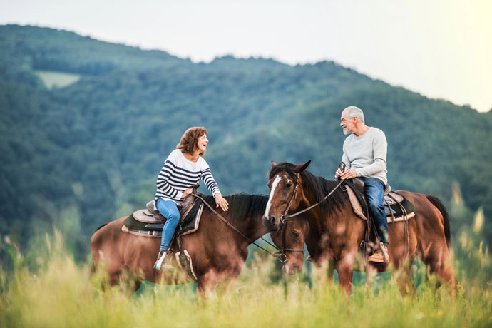 Discover The Thrill Of Horseback Riding In Gainesville, FL For Active ...